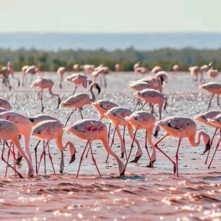 Majunga 9 cartes postales by Tongava Tours - Madagascar Terre d'Hospitalité