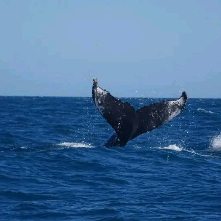 Majunga 9 cartes postales by Tongava Tours - Madagascar Terre d'Hospitalité